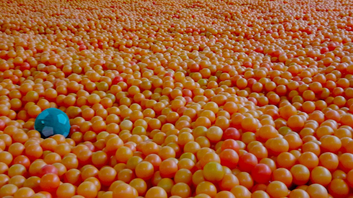 Ploughing a Furrow – The Films of Jef Samaroon